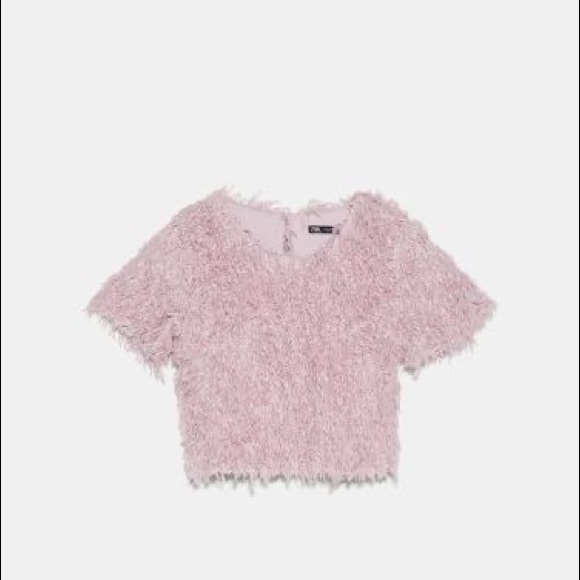 Zara | Tops | Nwt Feather Zara Top | Poshmark